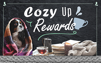 Debit Rewards Campaign - SHAZAM